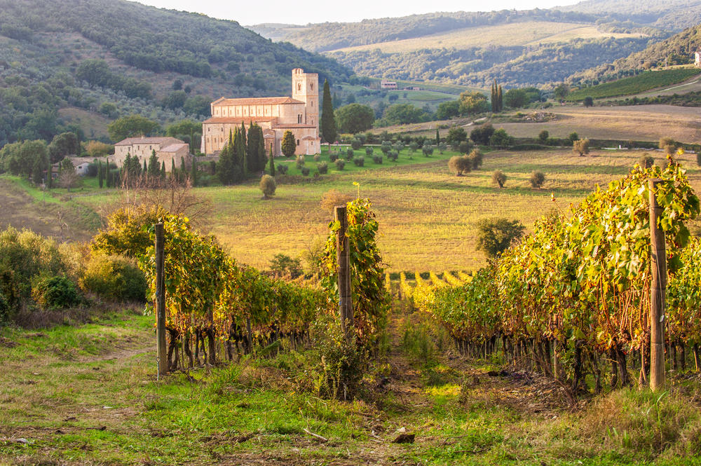 Small Group Brunello di Montalcino Wine Tour from Siena