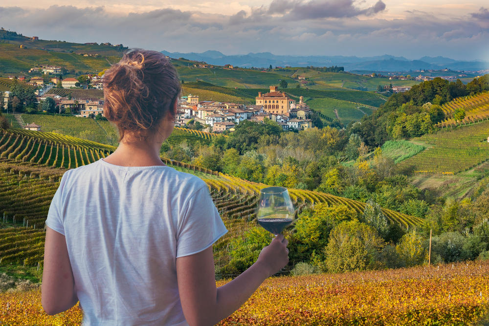 Milan Wine Tasting Experience with Barolo & Langhe Wines