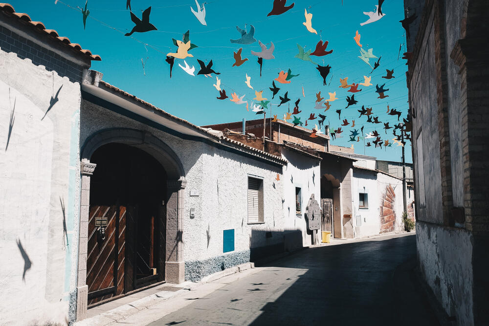 Tour de Cagliari a San Sperate: el pueblo de Art