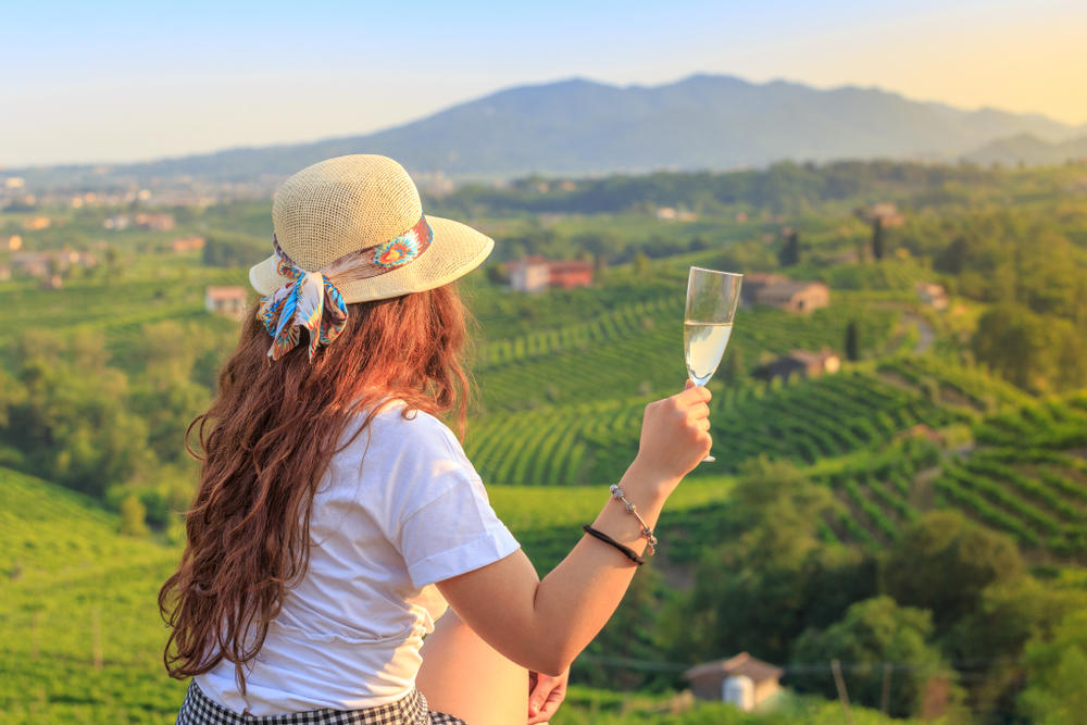 Venice to Prosecco Countryside: Wine Tasting & Day Tour