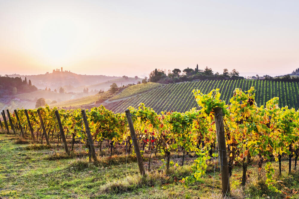 An evening in Tuscany wine tasting with private dinner.