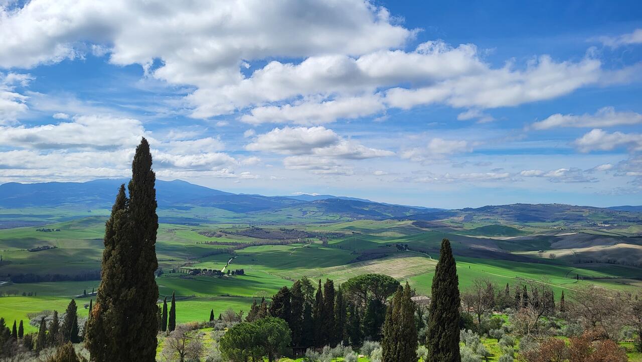 Taste Brunello wine in Montalcino, two hours away from Florence