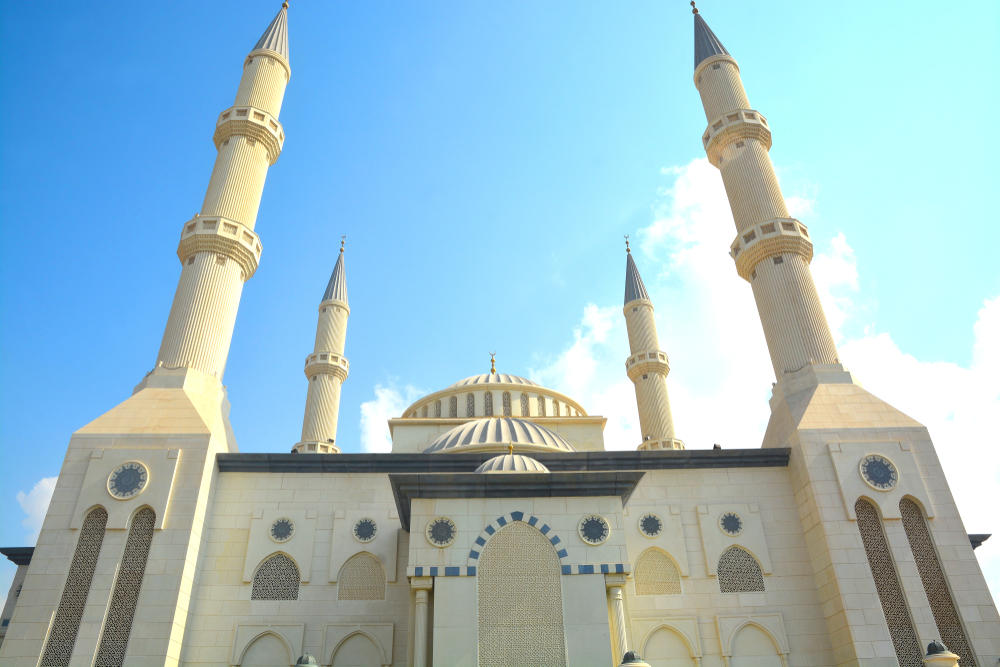 Tour per crociere: il meglio di Dubai e la Moschea Blu - Shore Emotion