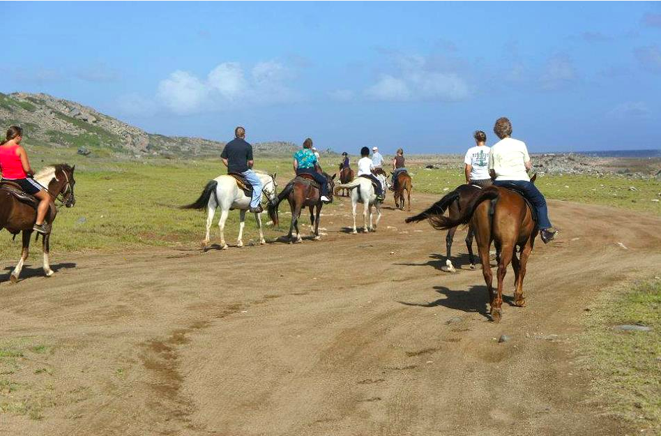 Horseback Riding in Aruba along the Island's Dunes - Shore Emotion